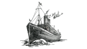 How wear a packer: positioning, comfort & FTM packing tips