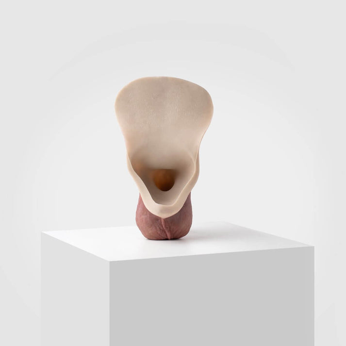 3rd Gen STP Packer (Circumcised Cut) — Realistic FTM Prosthetic | Emisil